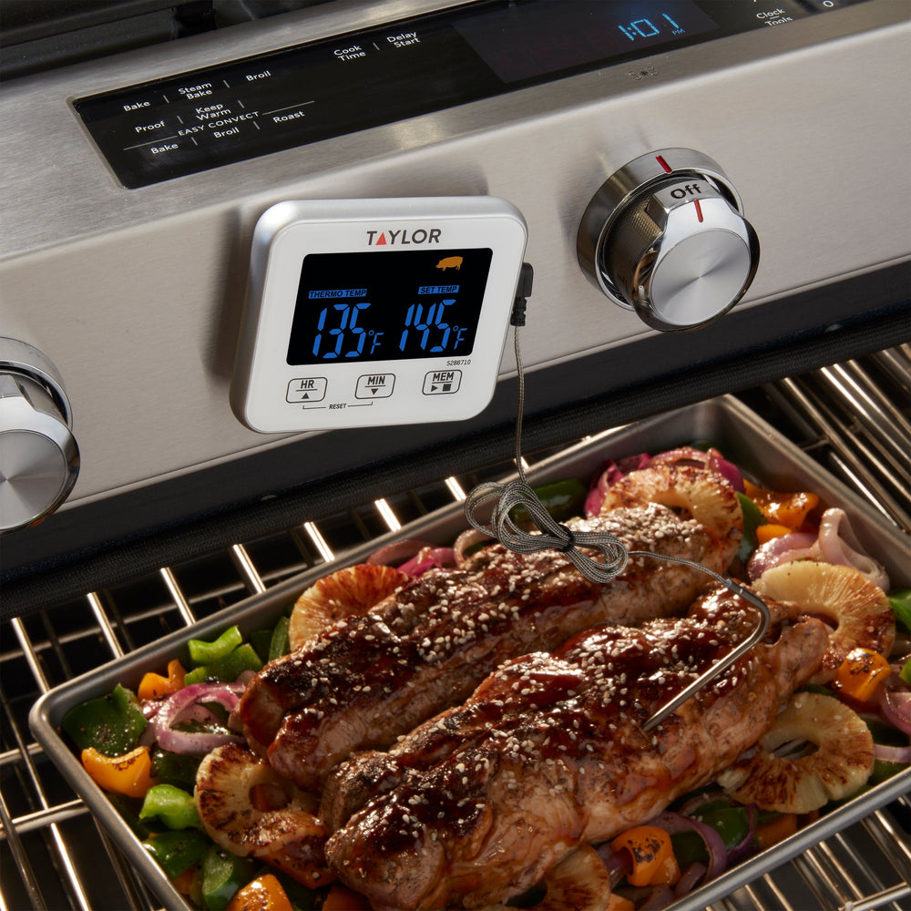 Programmable Digital Wired Thermometer