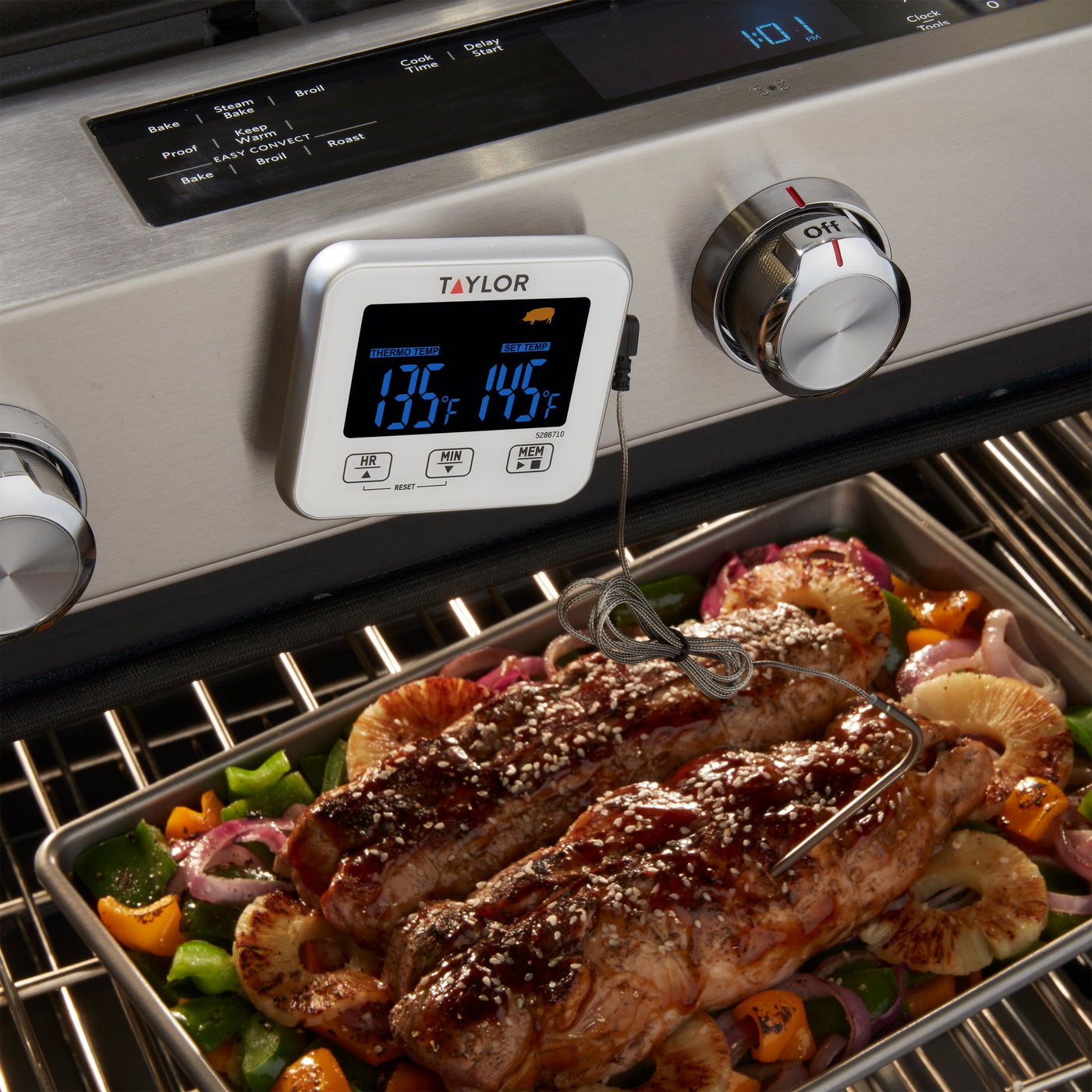 Programmable Digital Wired Thermometer