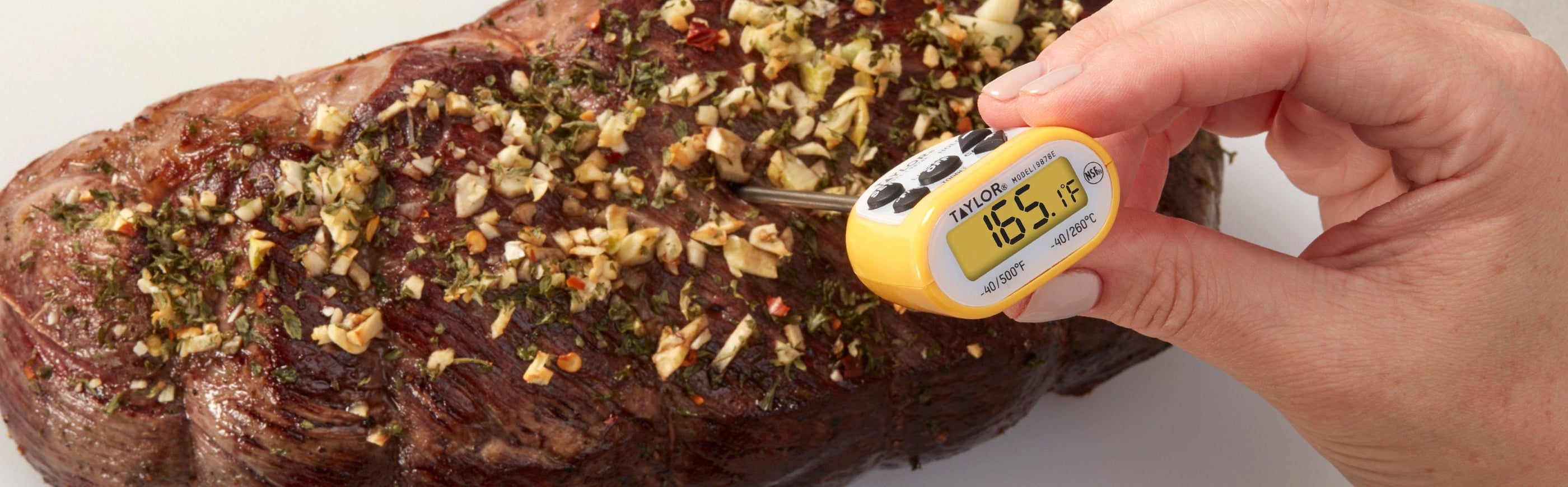 Commercial Kitchen Thermometers