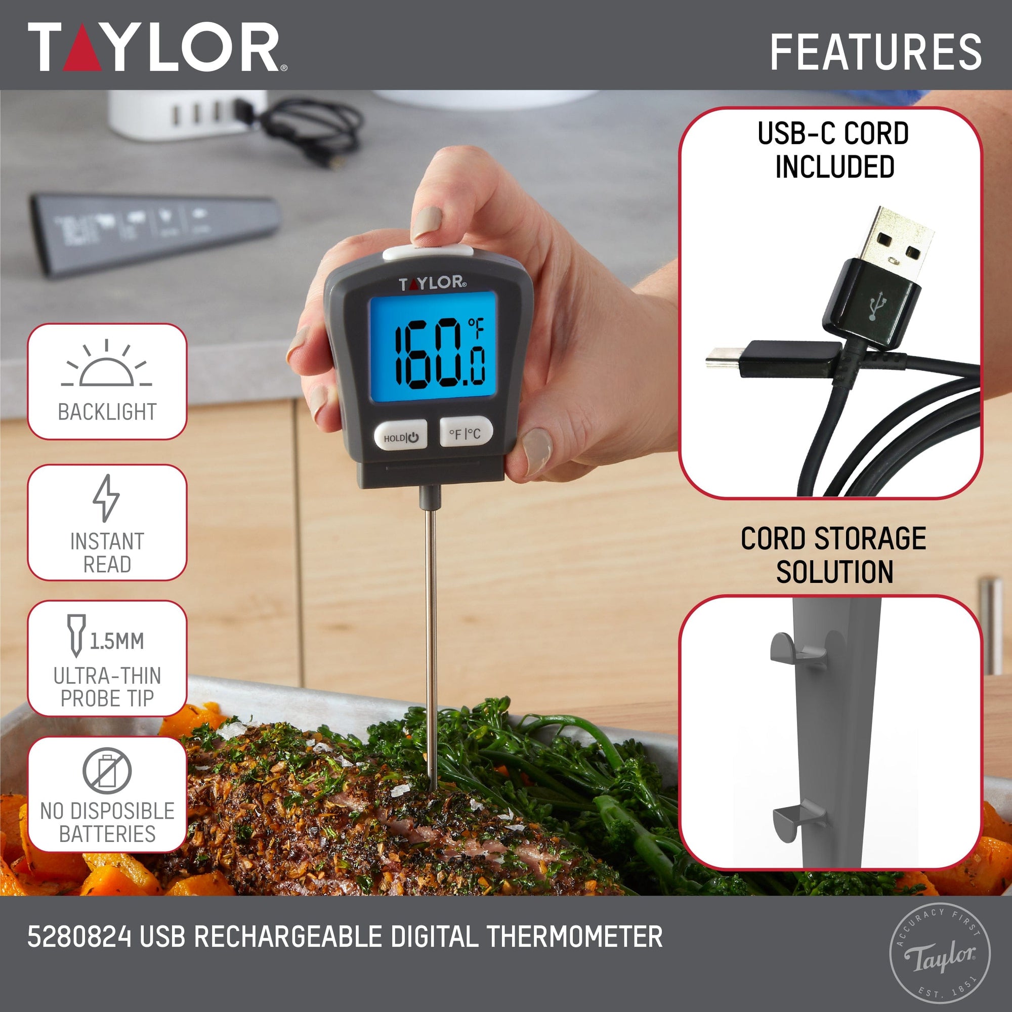 Digital USB Rechargeable Thermometer