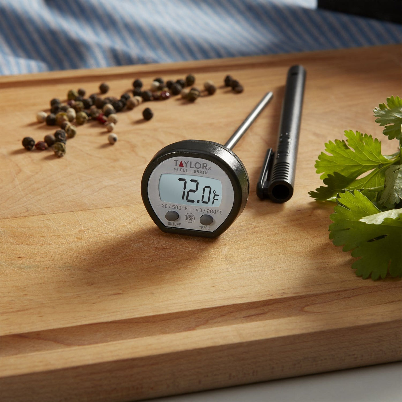 High Temperature Instant Read Thermometer | 9841 | TAYLOR