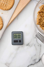 Mini Timer | 5842N15 | TAYLOR – Taylor USA